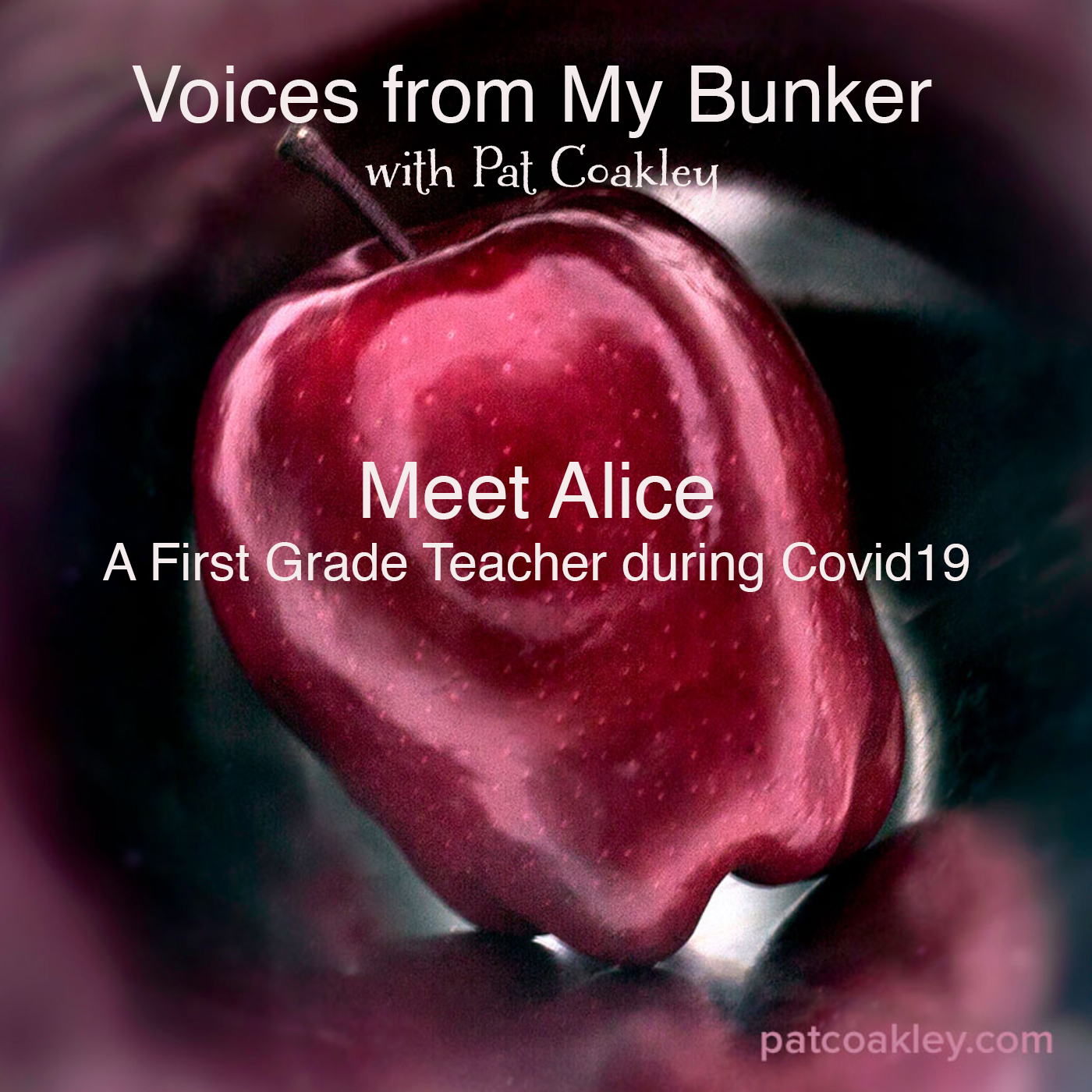 Voices from My Bunker 2020. Meet Alice. A First Grade Teacher in ...